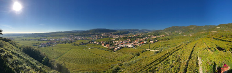 The Food, Wine And Culture Of Beautiful Northern Italy - Tickets and ...