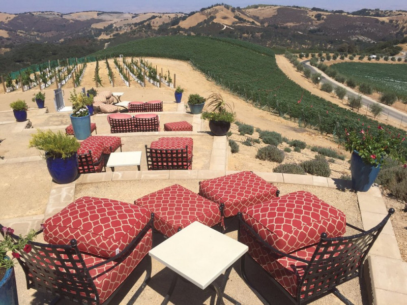 DAOU Vineyards Wine Tasting - Tickets and Event Information ...